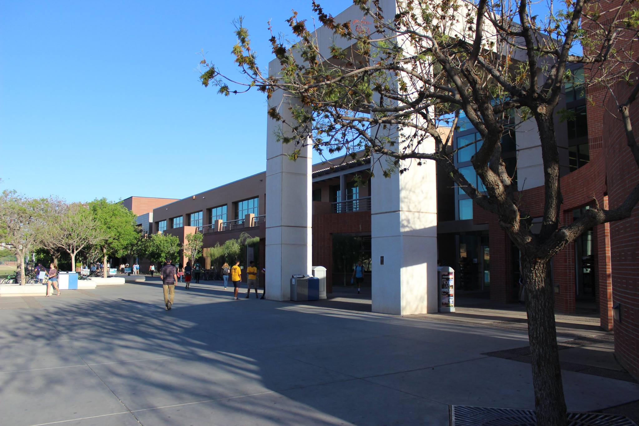 JR Handball Flourishing in PHX - Junior WPH